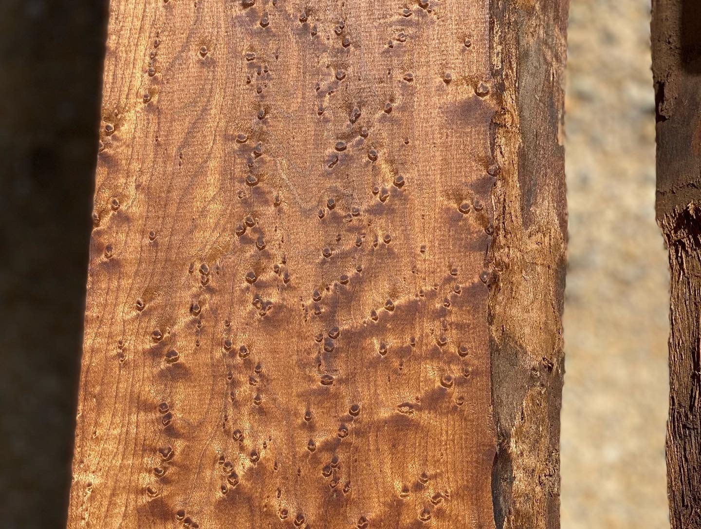 Kloes Specialty Hardwoods